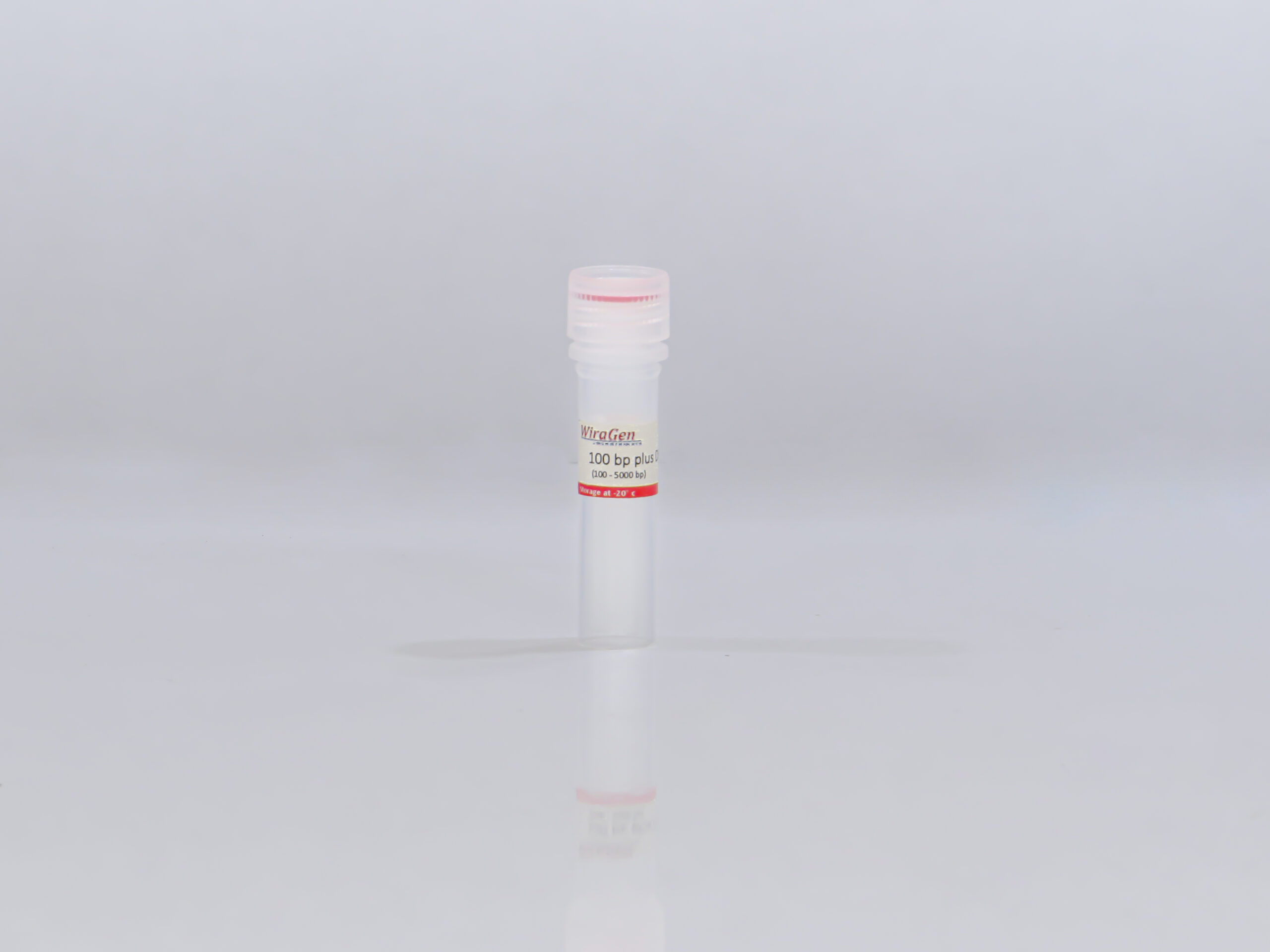 100bp DNA Ladder - Wiragen Academy